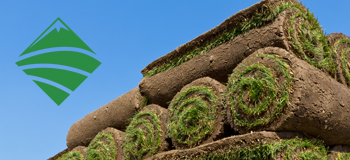 Achieve a Stunning Lawn with Drought-Resistant Sod | Emerald Sod Farms