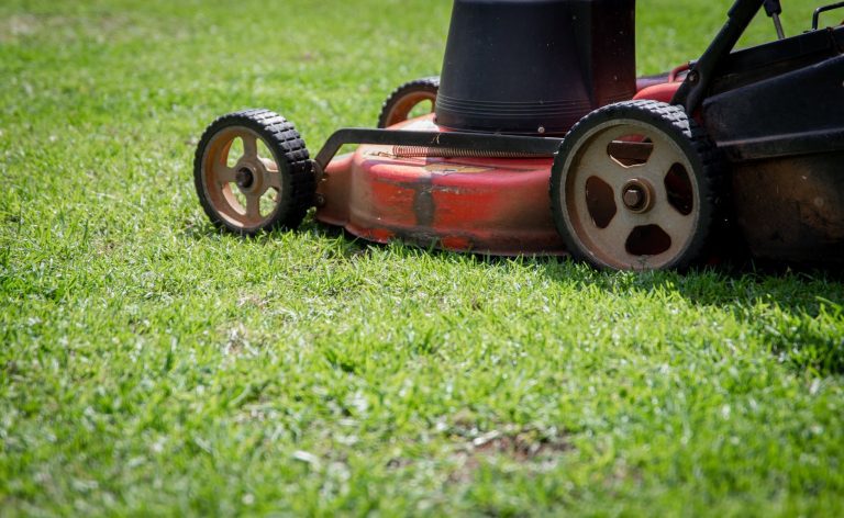 Pro Tips on How To Cut Your Lawn for the First Time This Spring